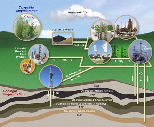 Cutting Carbon Emissions To Improve The Climate Msu Extension